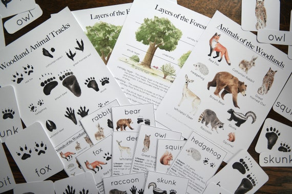 Woodland Forest Bundle Animals Tracks Forest Layers - Etsy