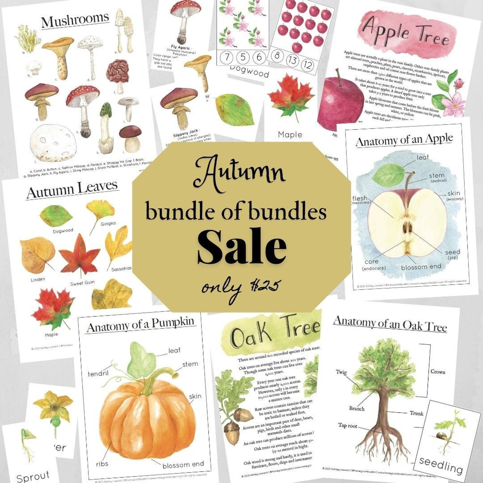 Mega Sale Bundle of Bundles Fall Charlotte Mason - Etsy