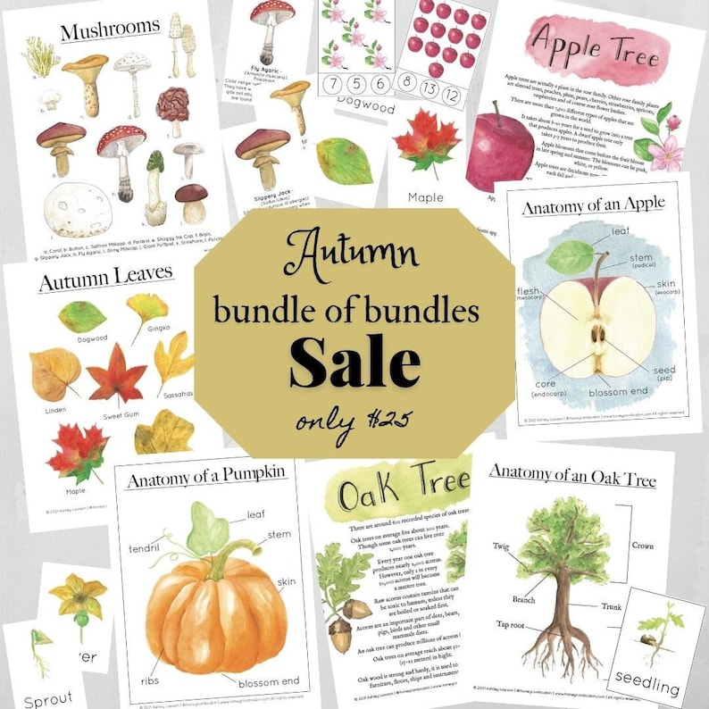 Mega Sale Bundle of Bundles - Fall | Charlotte Mason, Homeschool ...