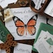 Butterfly Bundle | Charlotte Mason Nature Study Homeschool Printable ...