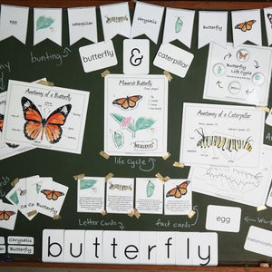 Butterfly Bundle | Charlotte Mason Nature Study Homeschool Printable ...