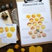 Honey Bee Bundle Hard Copy Printed Homeschool Charlotte - Etsy
