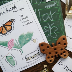 Butterfly Bundle | Charlotte Mason Nature Study Homeschool Printable ...