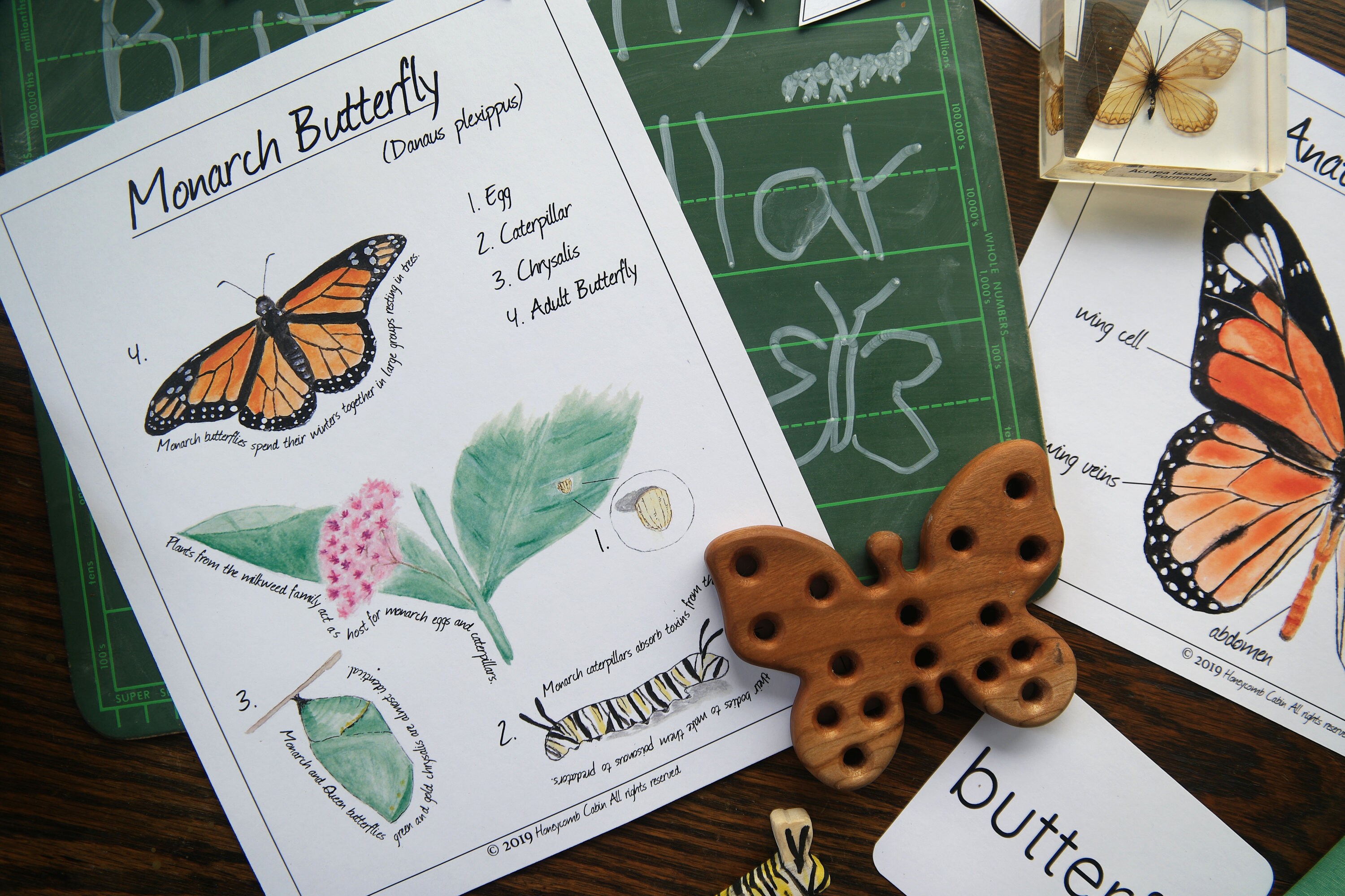 Toys Butterfly Unit Study Bundle Charlotte Mason Nature Study ...