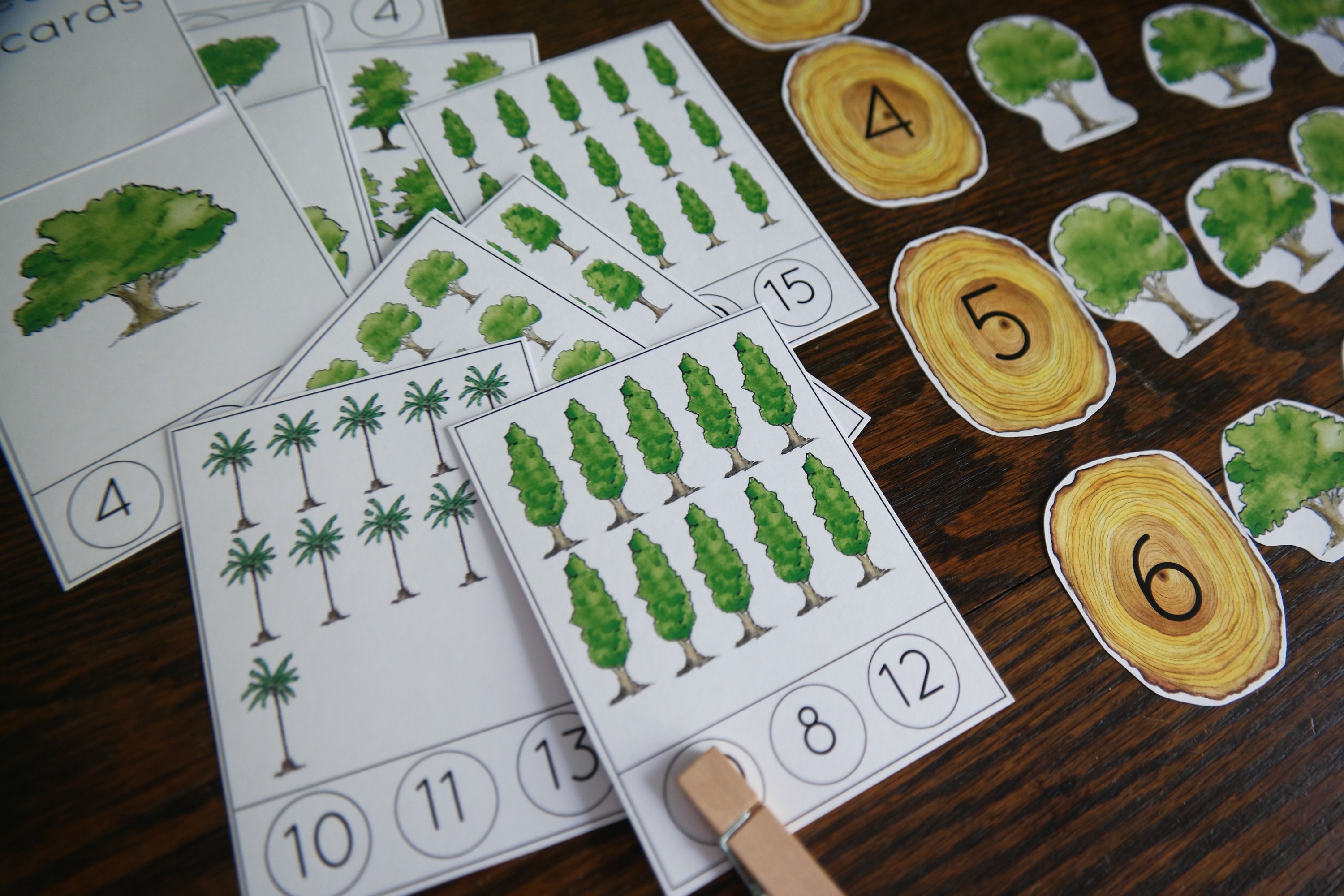 Arbor Math Counting Clip Cards and Manipulatives Nature | Etsy