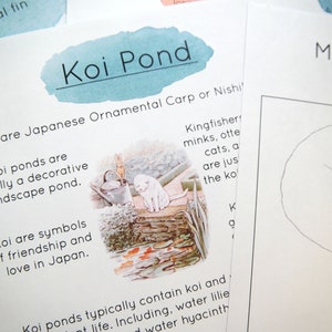 Koi Fish Educational Printable Learning Set - Etsy