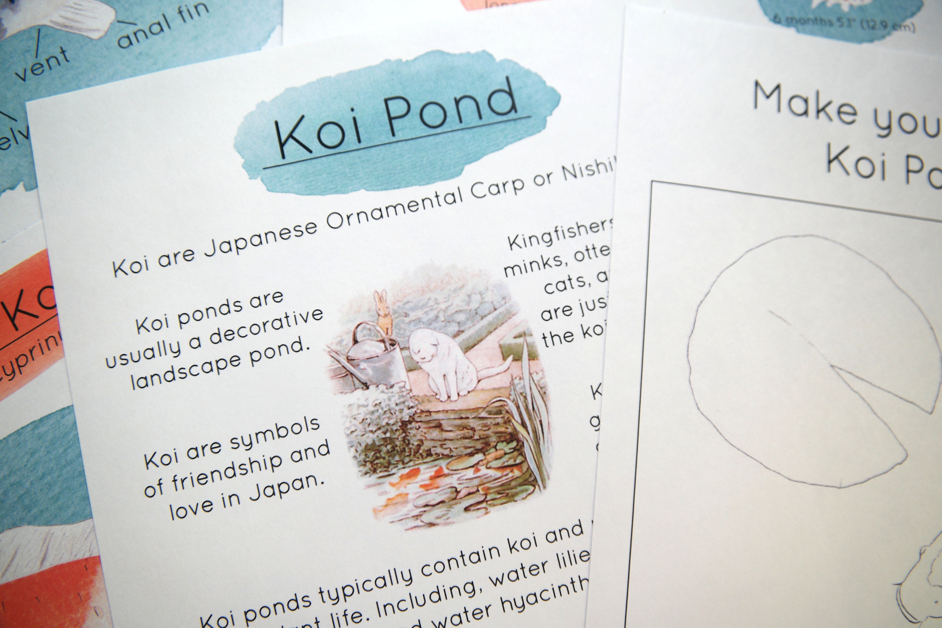 Koi Fish Educational Printable Learning Set - Etsy