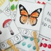 Nature Count and Clip Cards Homeschool Charlotte Mason | Etsy