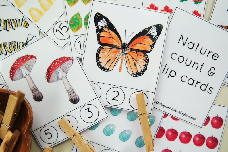 Nature Count and Clip Cards | Homeschool, Charlotte Mason, Printable ...