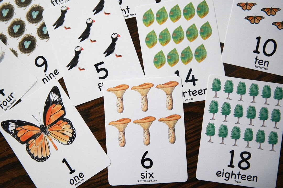 Nature Counting Cards | Preschool Charlotte Mason Homeschool Printable ...