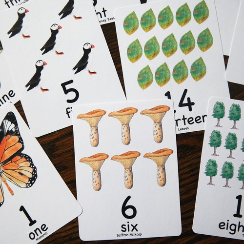 Nature Counting Cards Preschool Charlotte Mason Homeschool - Etsy