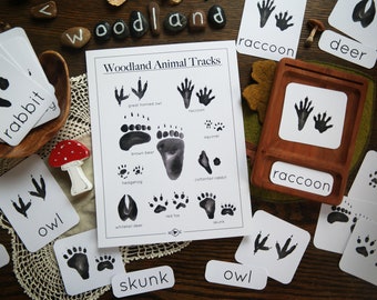Woodland Animal Tracks Mini-poster and 3-part Cards | Montessori ...