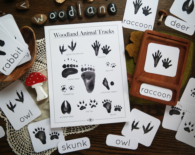 Woodland Animal Tracks Mini-poster and 3-part Cards Montessori ...