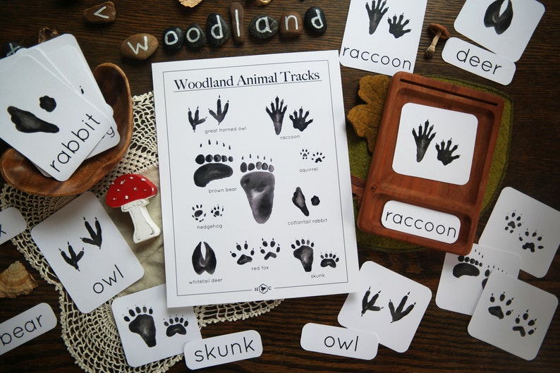 Woodland Animal Tracks Mini-poster and 3-part Cards - Etsy