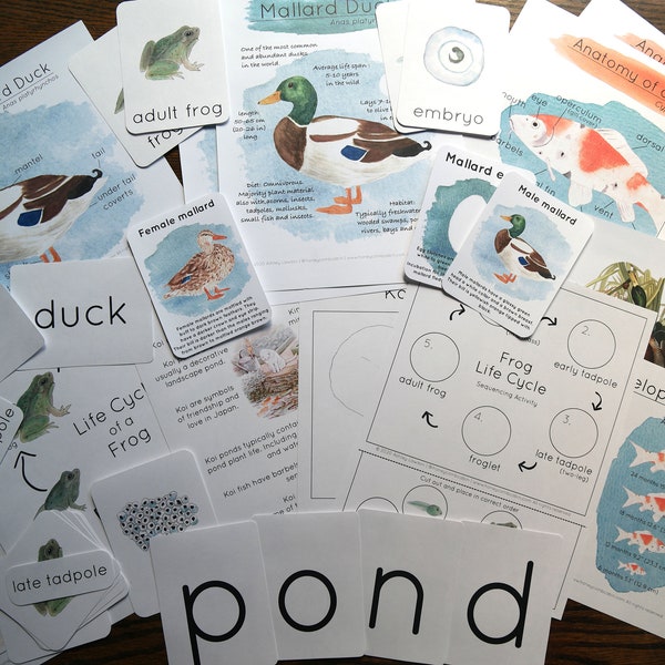 Visual Schedule for Kids Time & Weather | Daily Routine and Chore Chart ...