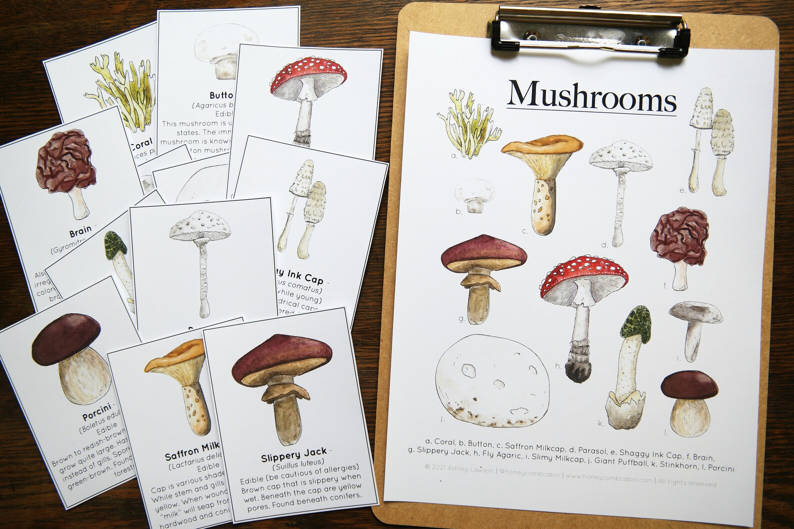 Mushroom Bundle-hard Copy | Etsy