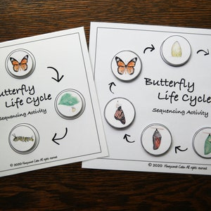 Butterfly Bundle | Charlotte Mason Nature Study Homeschool Printable ...
