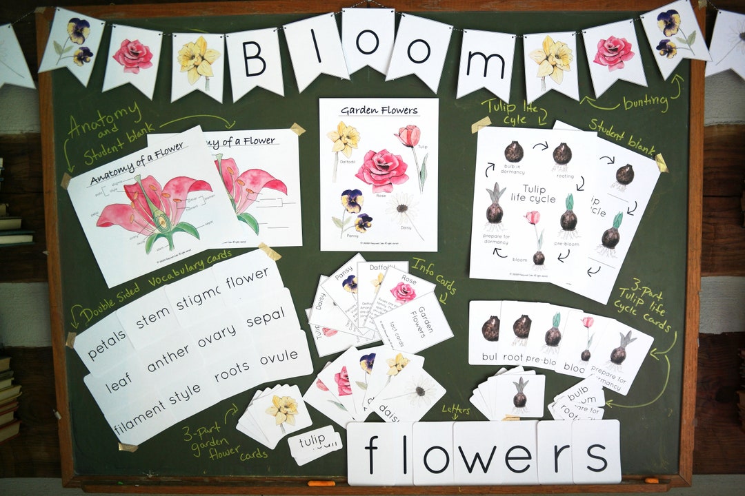 Flower Bundle | Charlotte Mason Nature Study Homeschool Printable - Etsy