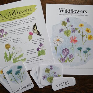 Wildflower and Pollinator Bundle | Charlotte Mason Homeschool ...