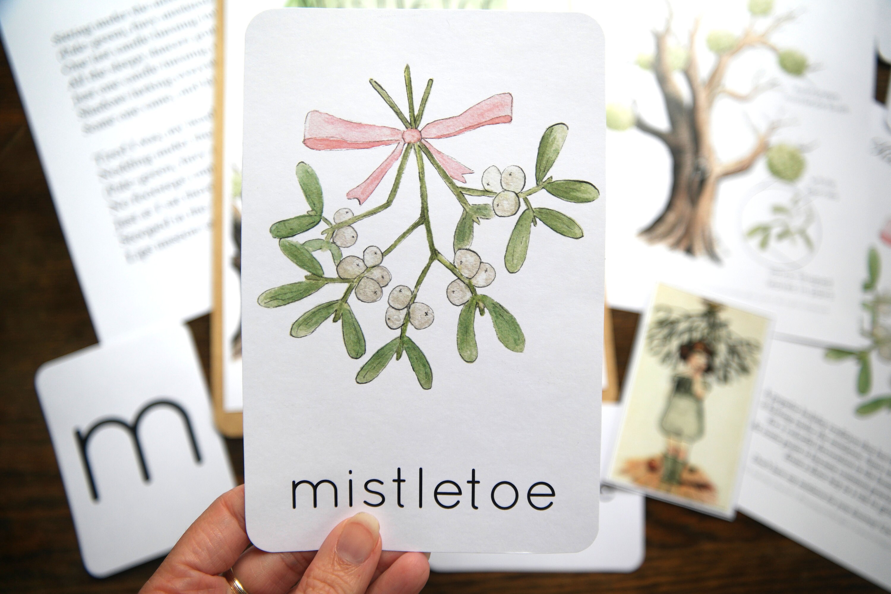 Mistletoe Investigation Set Homeschool Educational Charlotte - Etsy