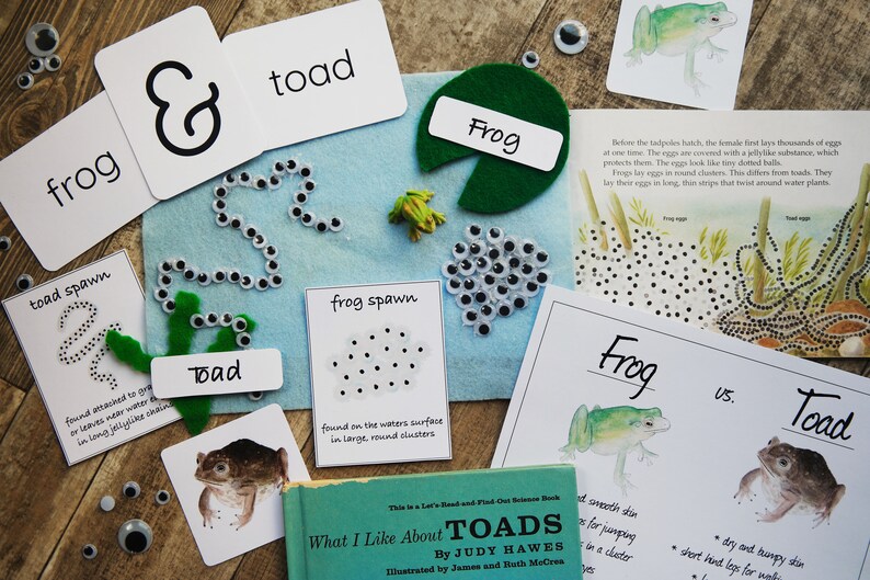 Frog vs Toad learning set Nature study Charlotte Mason | Etsy