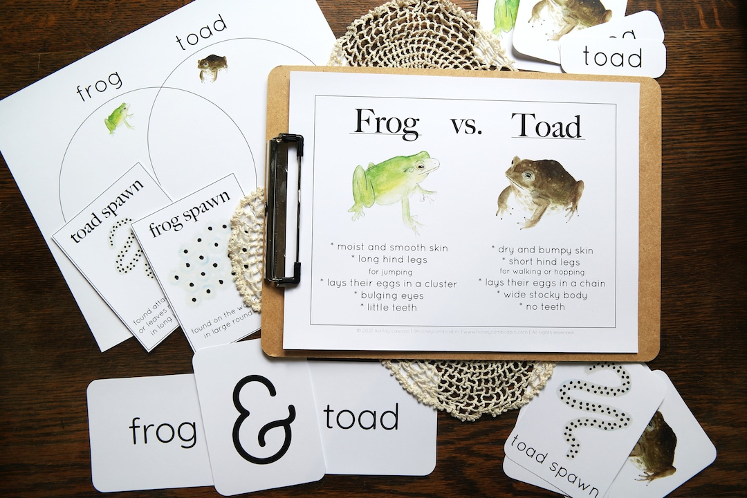 Frog Vs Toad Learning Set | Nature Study, Charlotte Mason, Homeschool ...