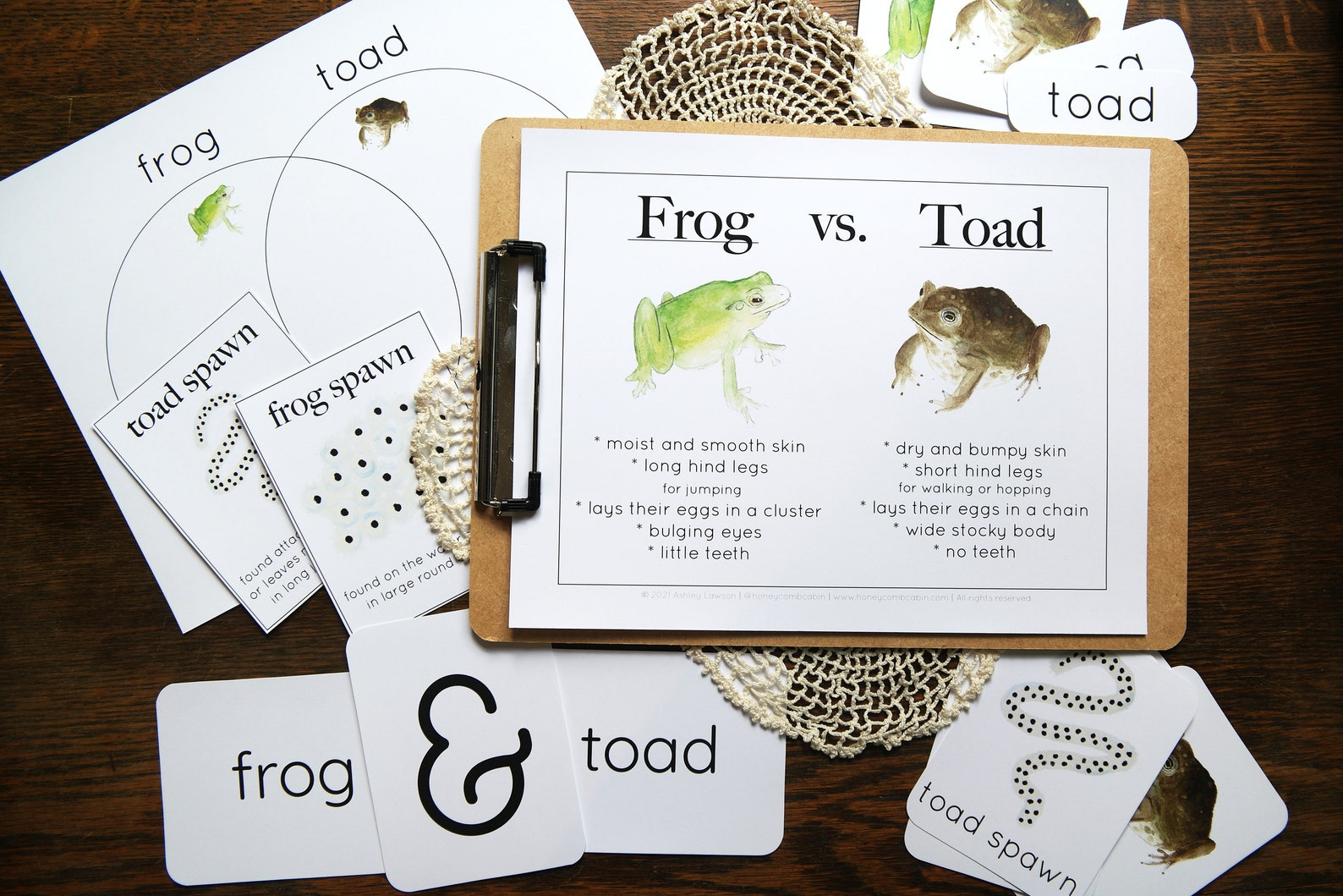 Frog Vs Toad Learning Set Nature Study Charlotte Mason - Etsy