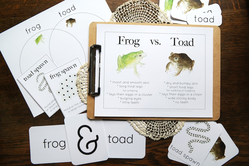 Frog Vs Toad Learning Set Nature Study Charlotte Mason | Etsy