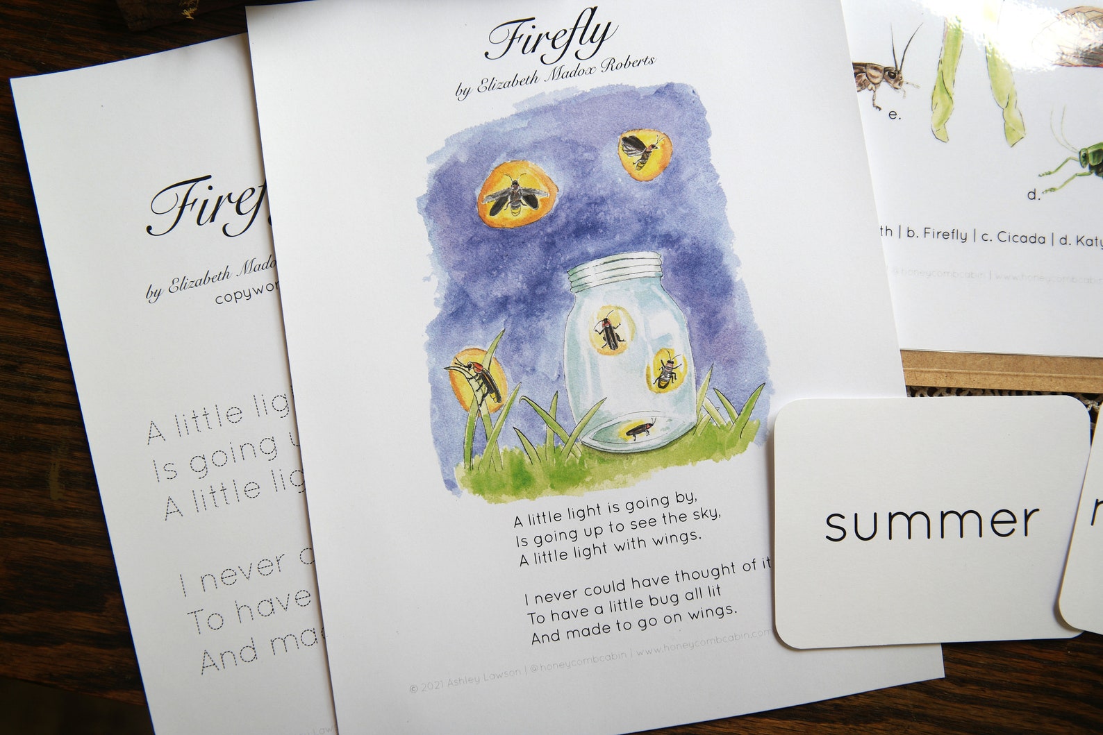 Summer Night Minibeast Bundle Charlotte Mason Nature - Etsy