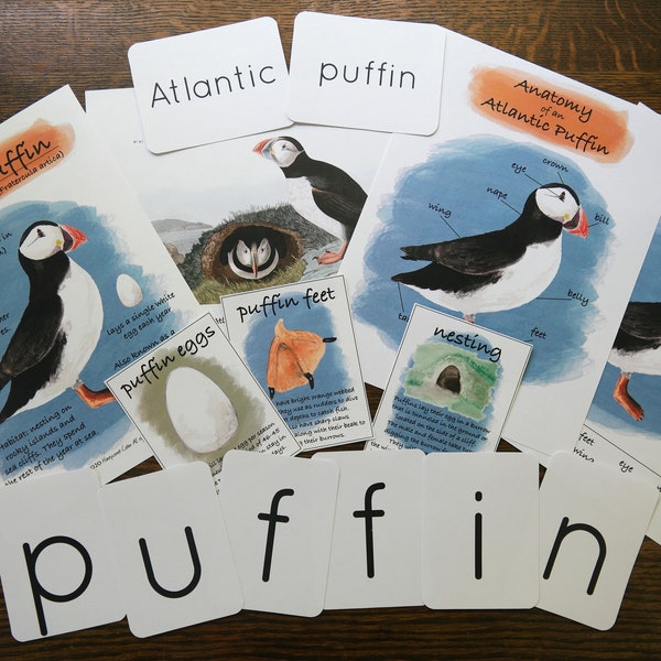 Puffin - Etsy