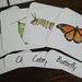 Printed Monarch Butterfly Life Cycle Cards - Informational and 3-part ...