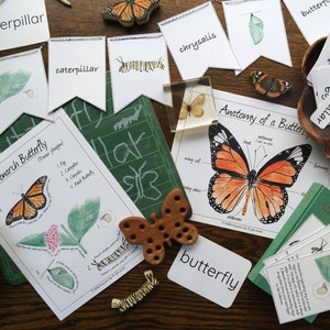 Butterfly Bundle Charlotte Mason Nature Study Homeschool - Etsy