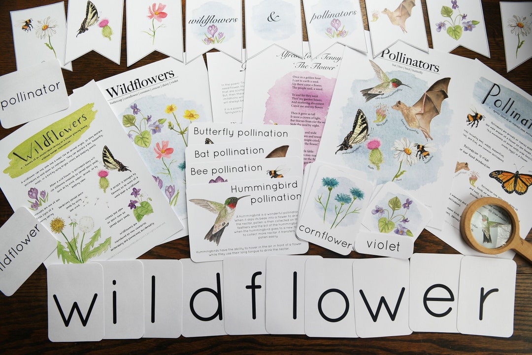Wildflower and Pollinator Bundle | Charlotte Mason Homeschool ...