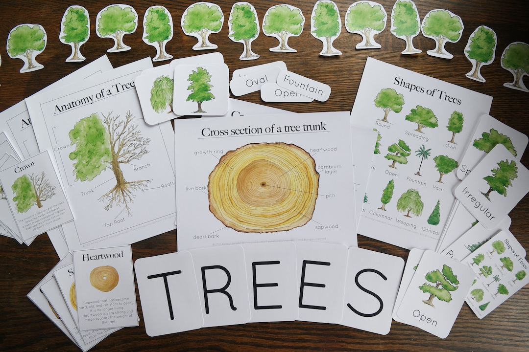 Tree Studies Bundle - Hard Copy - Etsy