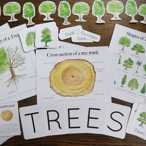 Tree Studies Bundle Hard Copy - Etsy