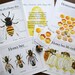 Honey Bee Bundle Hard Copy Printed Homeschool Charlotte - Etsy