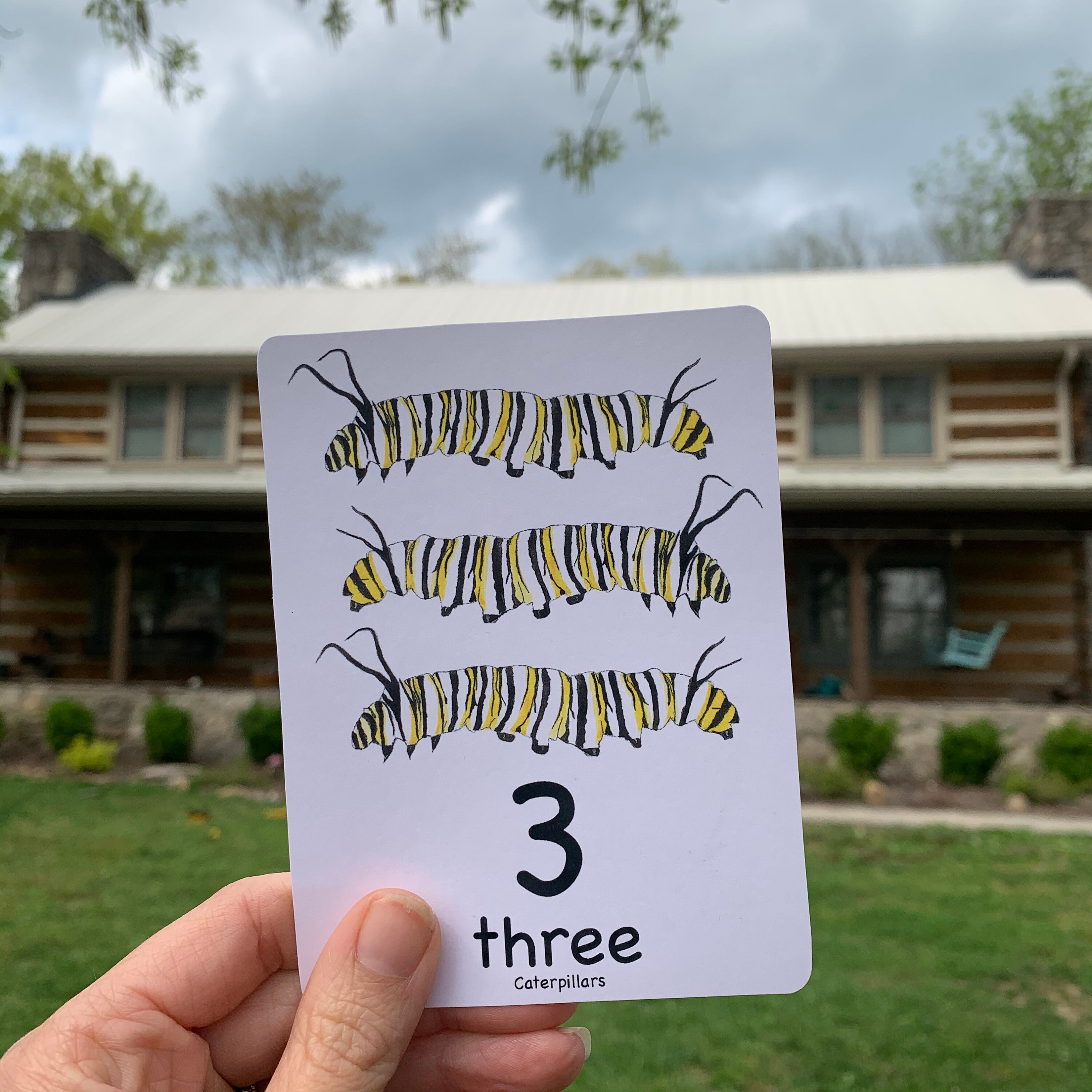 Nature Counting Cards | Preschool Charlotte Mason Homeschool Printable ...