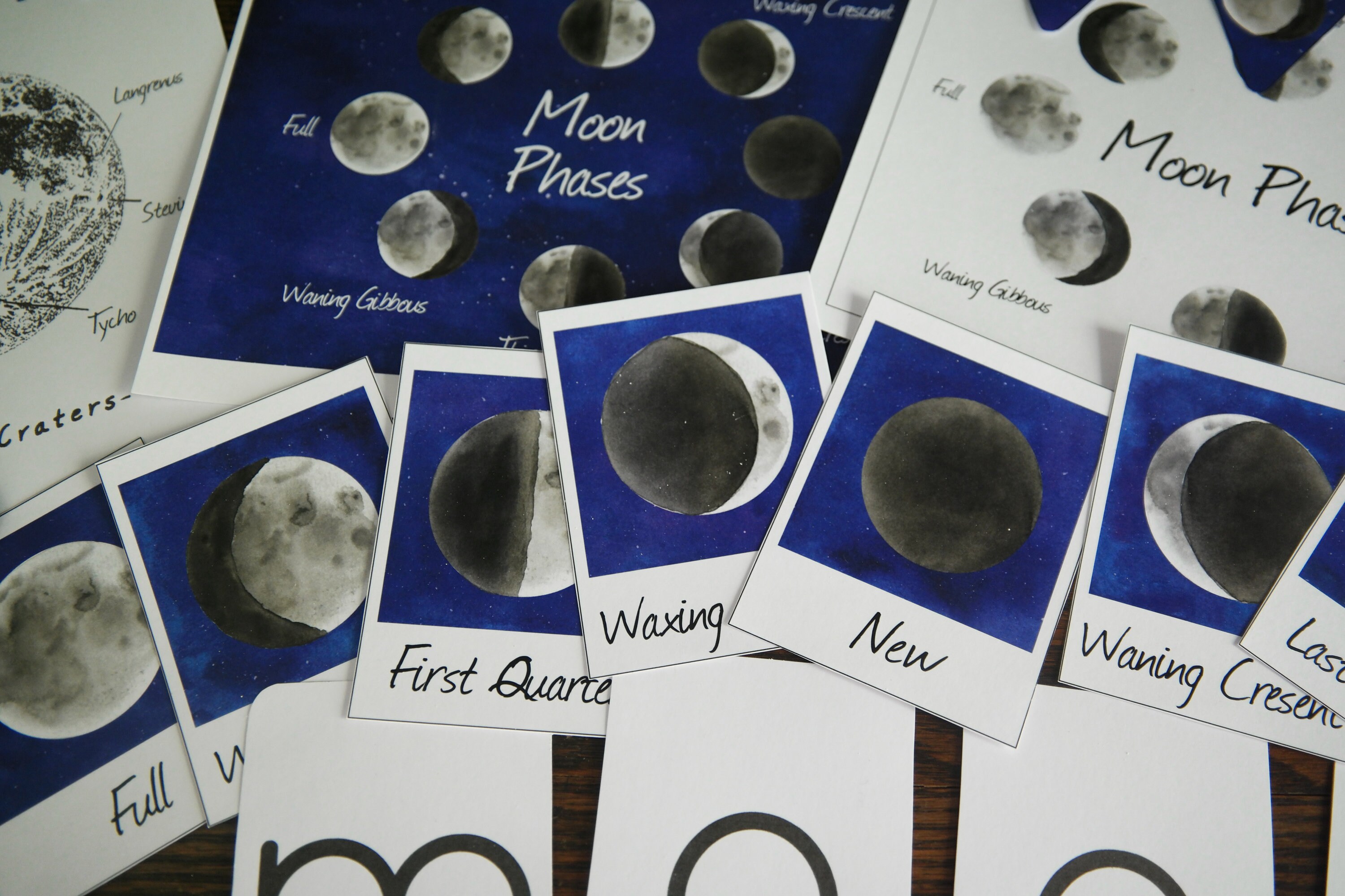 Moon Learning Bundle/ Unit Study - Etsy