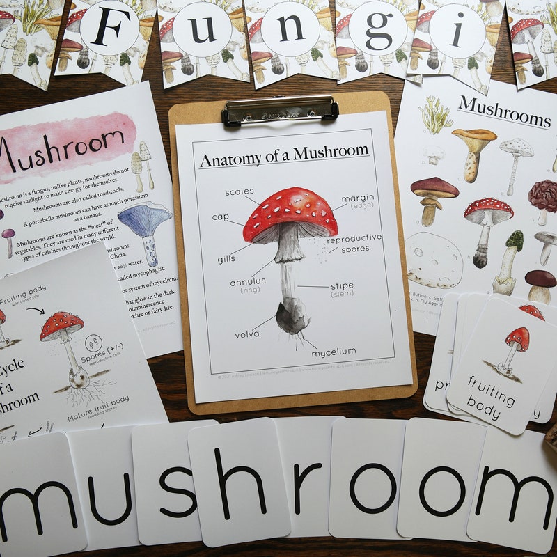 HoneycombCabin - Etsy