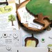 Oak Tree Life Cycle Bundle Nature Study Charlotte Mason - Etsy