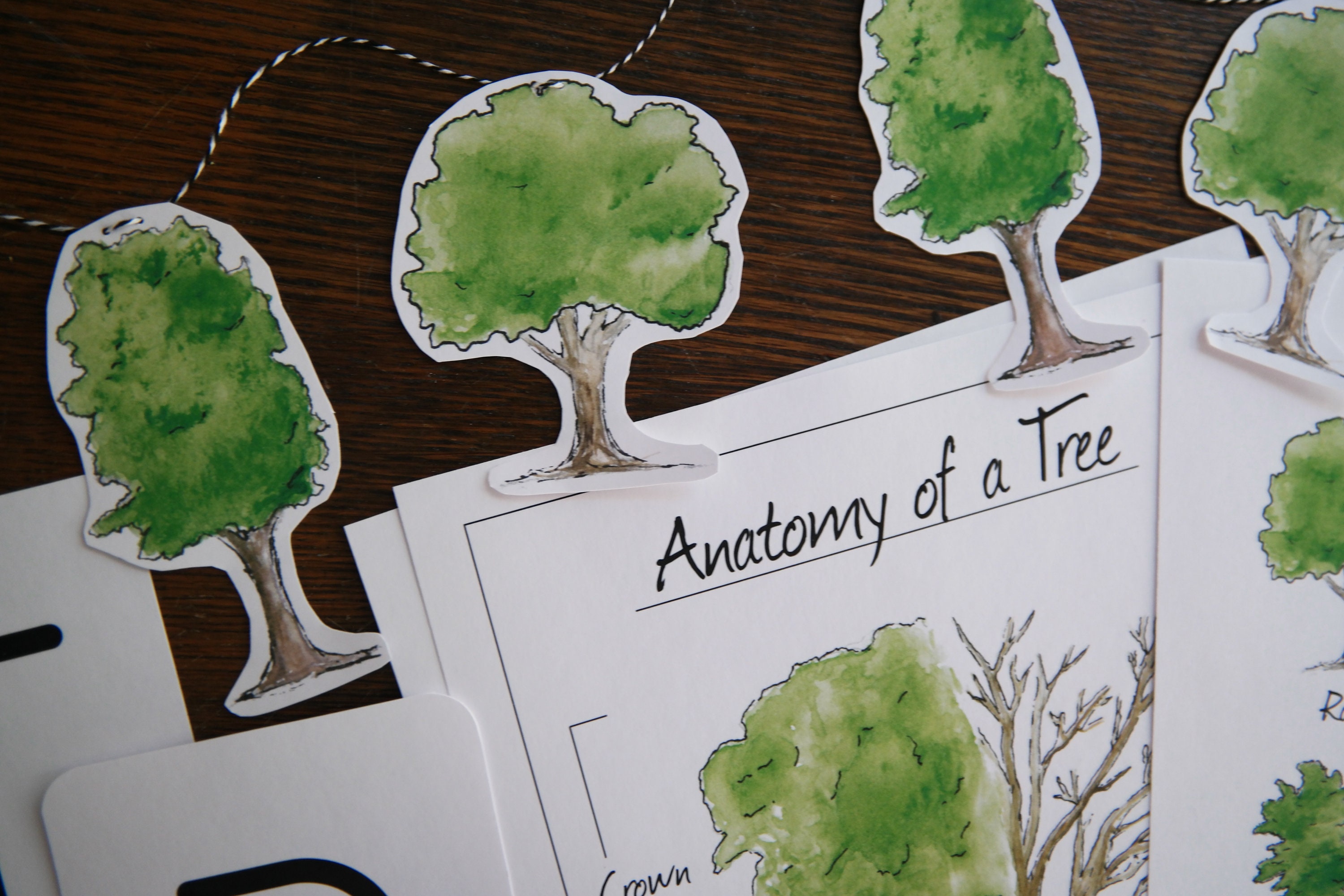 Tree studies bundle Hard copy | Etsy