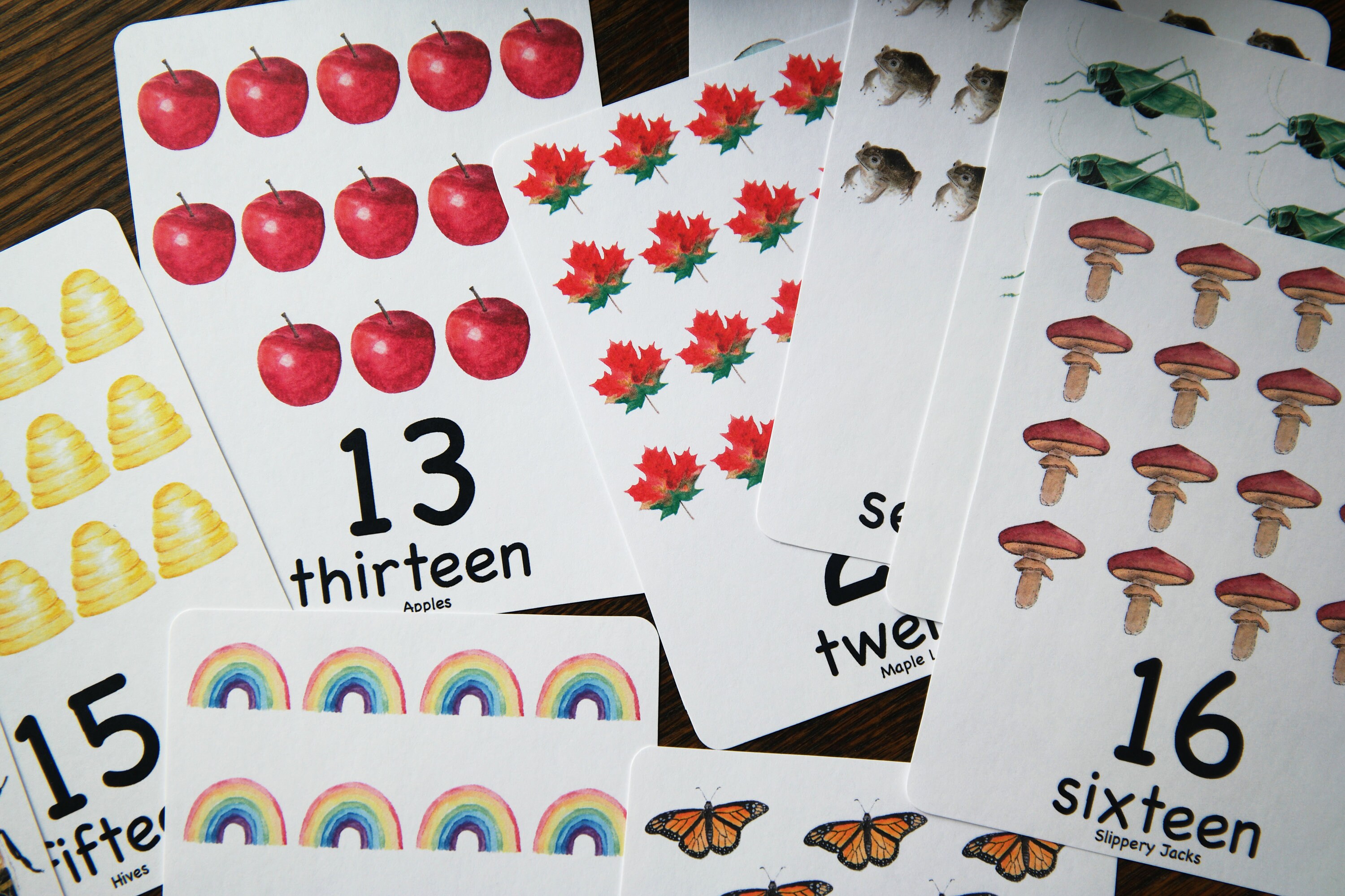 Nature Counting Cards Preschool Charlotte Mason Homeschool - Etsy