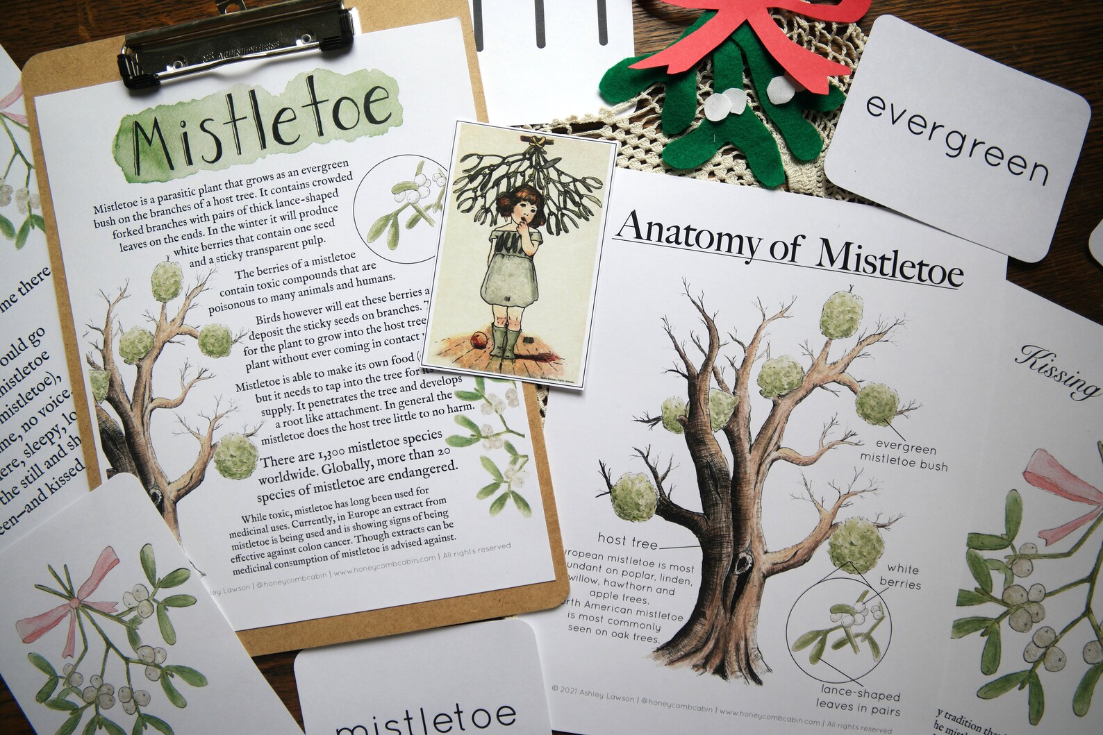 Mistletoe Investigation Set Homeschool Educational Charlotte | Etsy