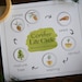 Conifer Tree Life Cycle Sequencing Activity and 3-part Cards - Etsy
