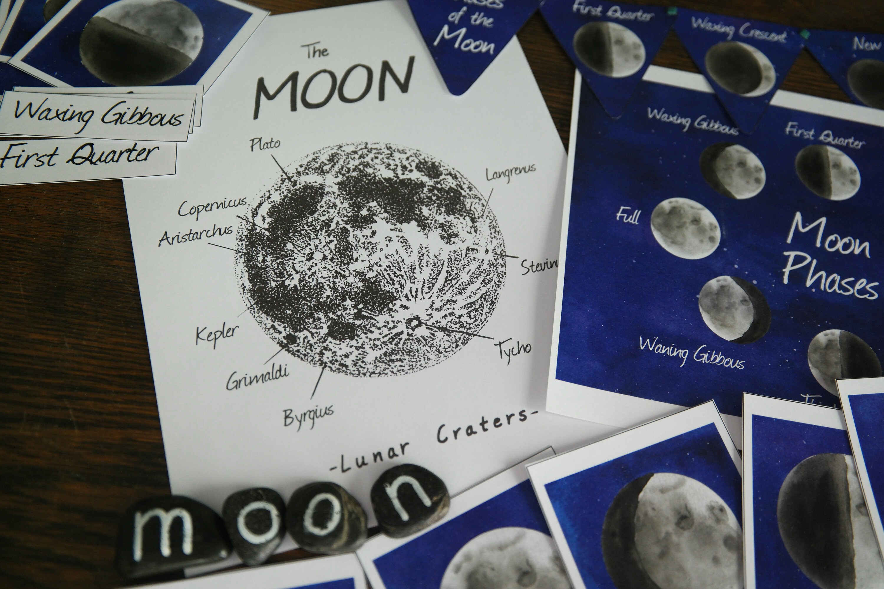 Moon Learning Bundle/ Unit Study - Etsy