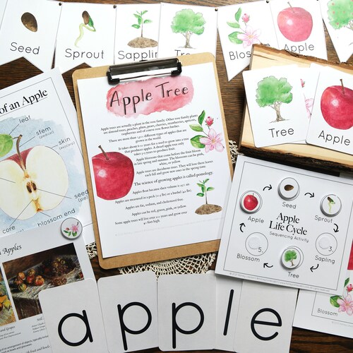 Tree Studies Bundle Nature Study Charlotte Mason - Etsy