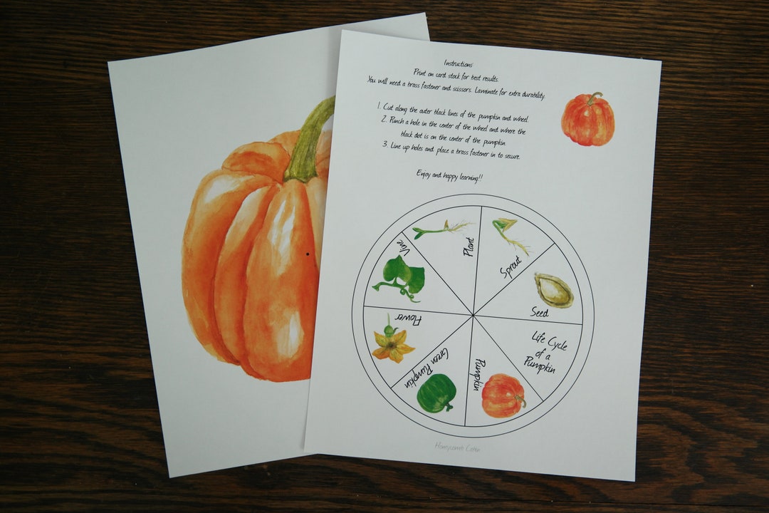 Pumpkin Life Cycle Wheel - Etsy