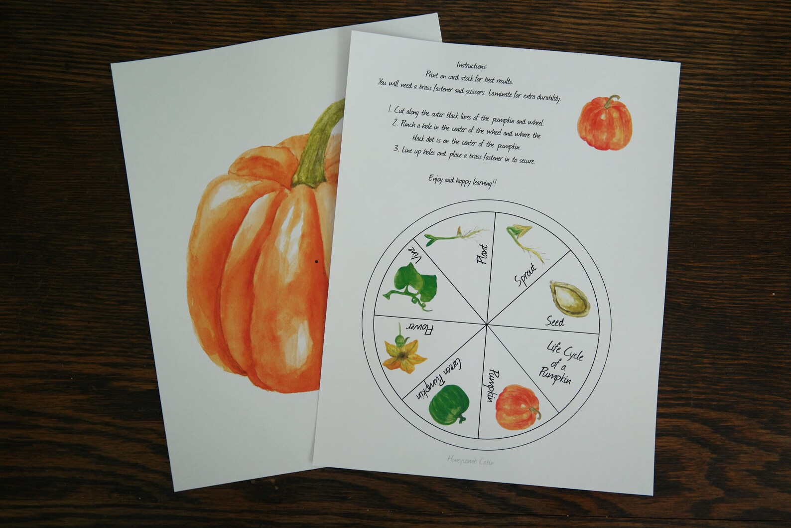 Pumpkin Life Cycle Wheel - Etsy