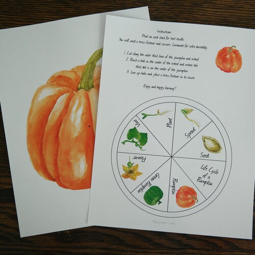 Pumpkin Life Cycle Wheel - Etsy