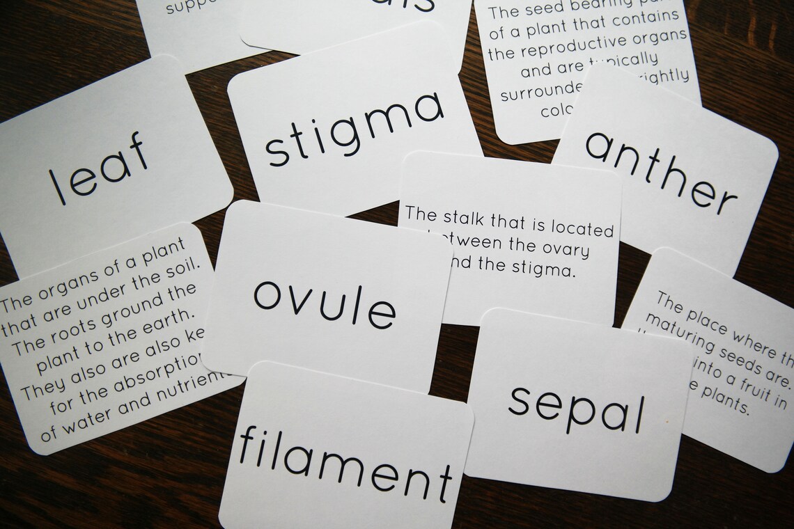 Flower Bundle Charlotte Mason Nature Study Homeschool - Etsy